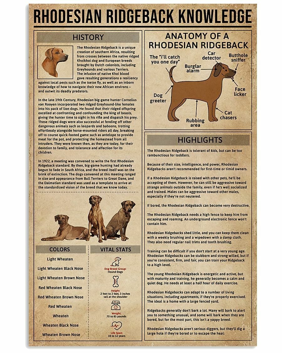 Rhodesian Ridgeback Size Chart